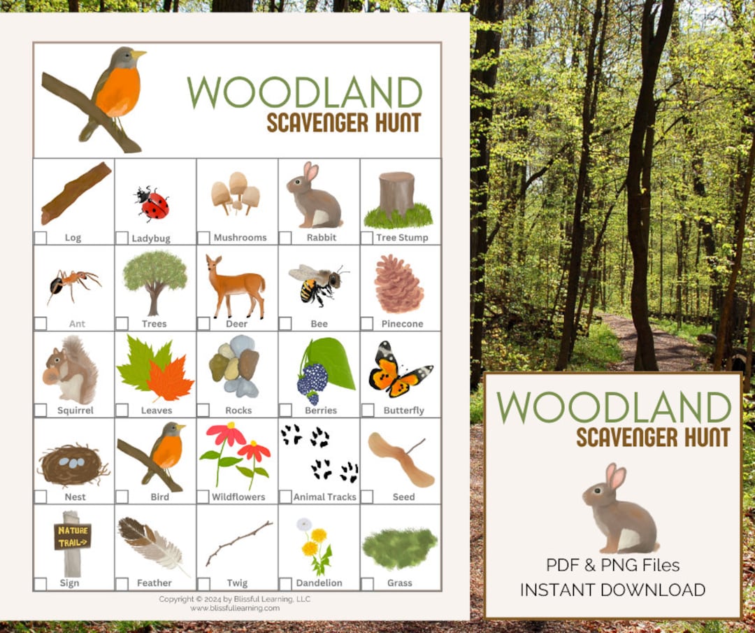 Woodland Scavenger Hunt for Kids Printable - 25 Nature Discoveries for ...