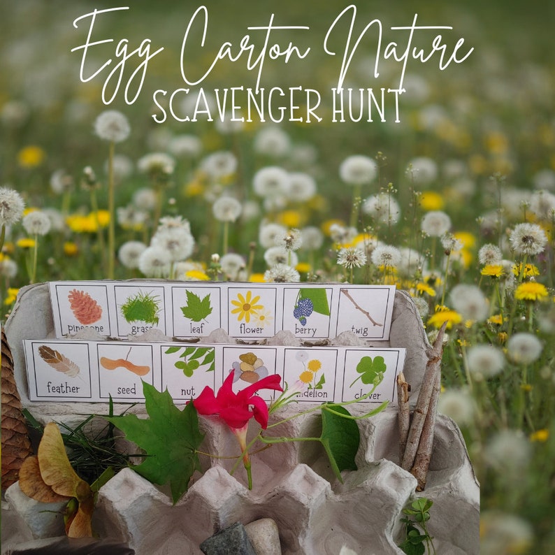 Nature Egg Carton Scavenger Hunt: Outdoor Scavenger Hunt for Kids ...