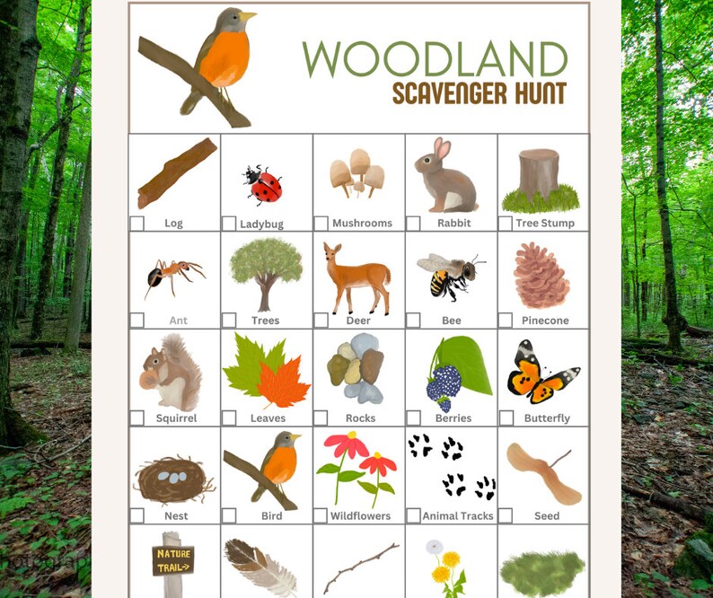 Woodland Scavenger Hunt for Kids: Nature Hike Activity (digital ...