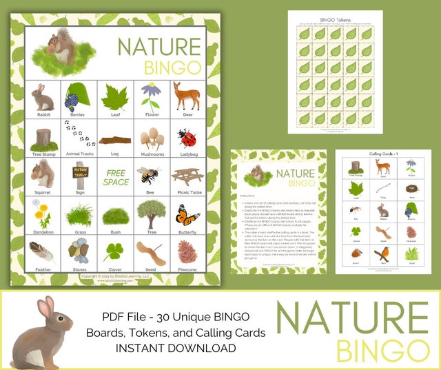 BlissfulLearningLLC - Etsy