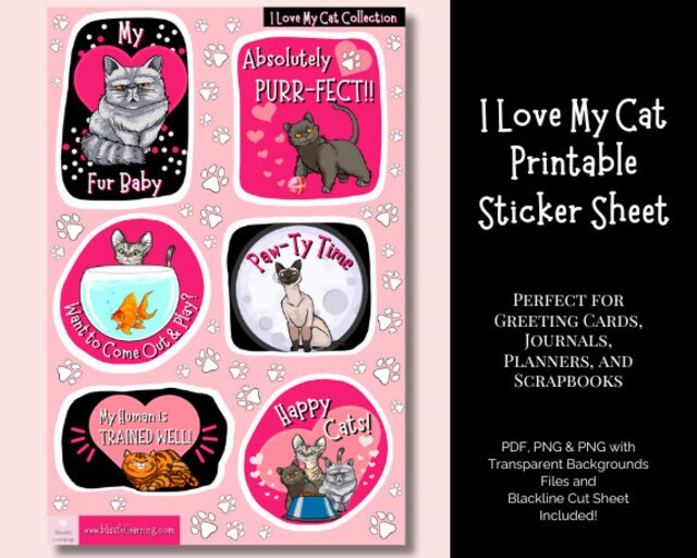 BlissfulLearningLLC - Etsy