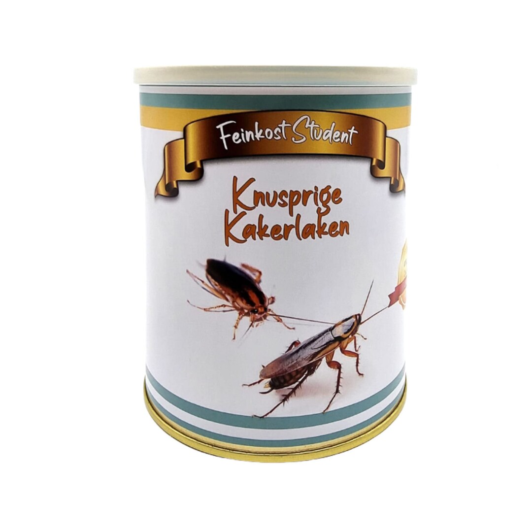 Knusprige Kakerlaken aus der Dose, Scherzarktikel, Lustige Geschenkidee ...