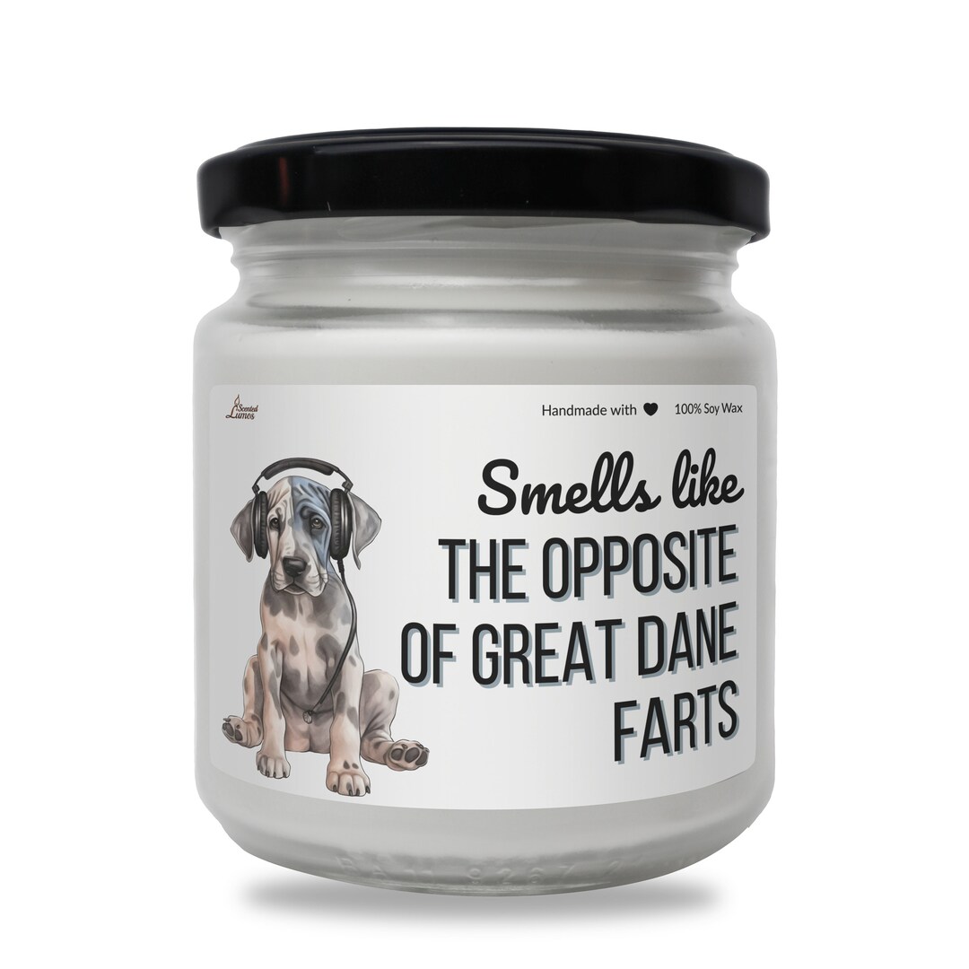 Smells Like the Opposite of Great Dane Farts Scented Soy Candle, Best ...
