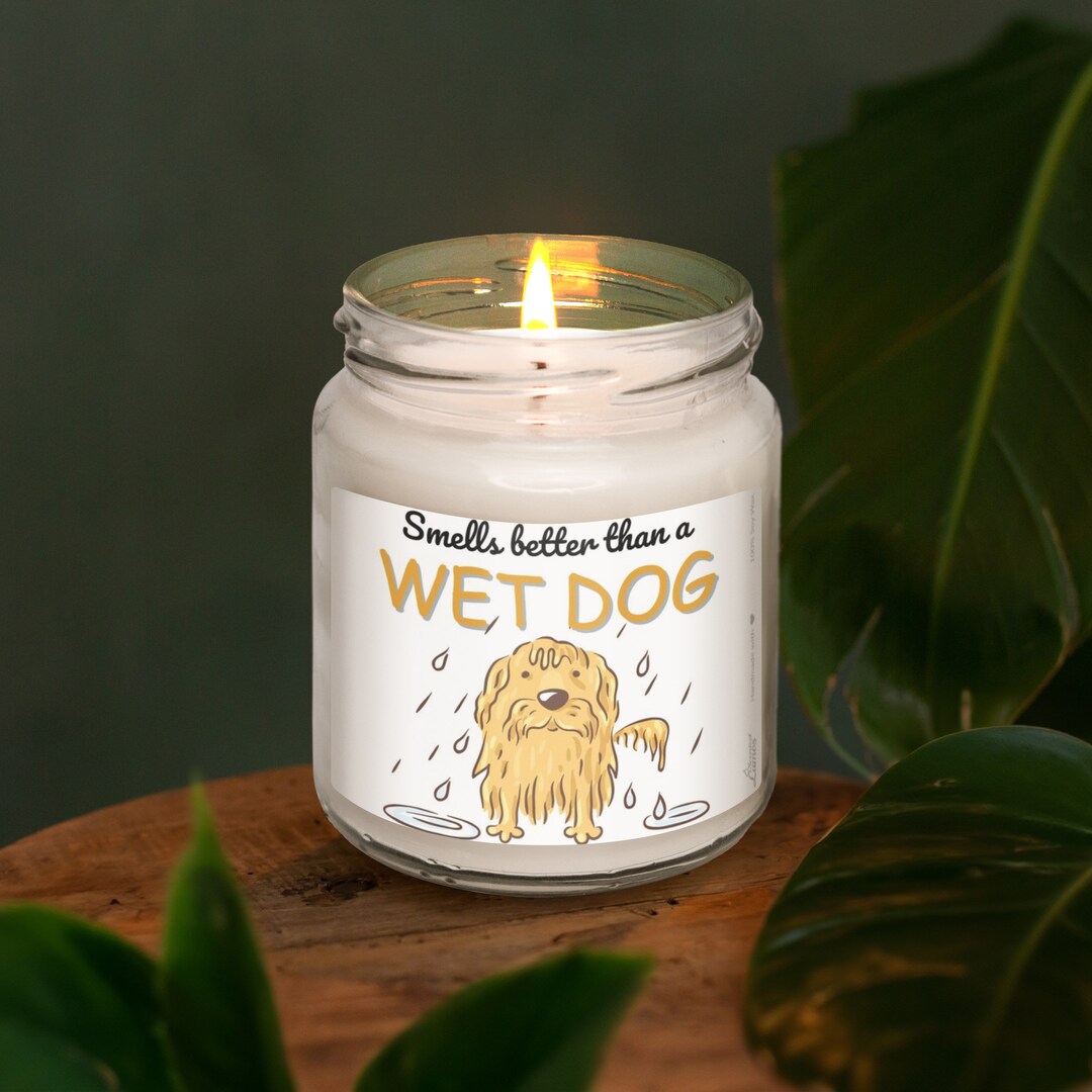 Smells Better Than a Wet Dog Scented Soy Candle, Vet Tech Week Gift ...