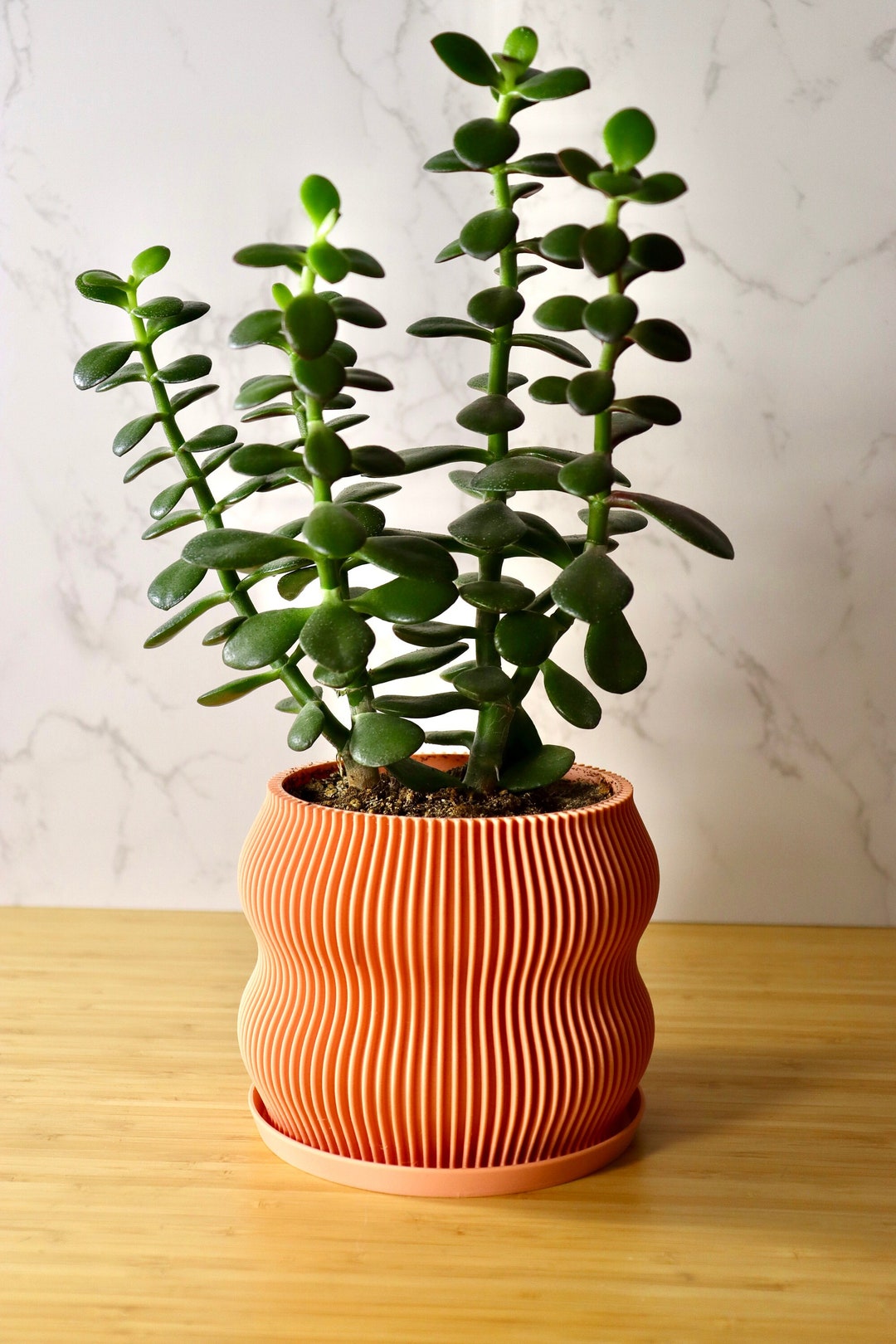Red Wax Planter Pot Drainage Hole & Drip Tray Modern Minimal - Etsy