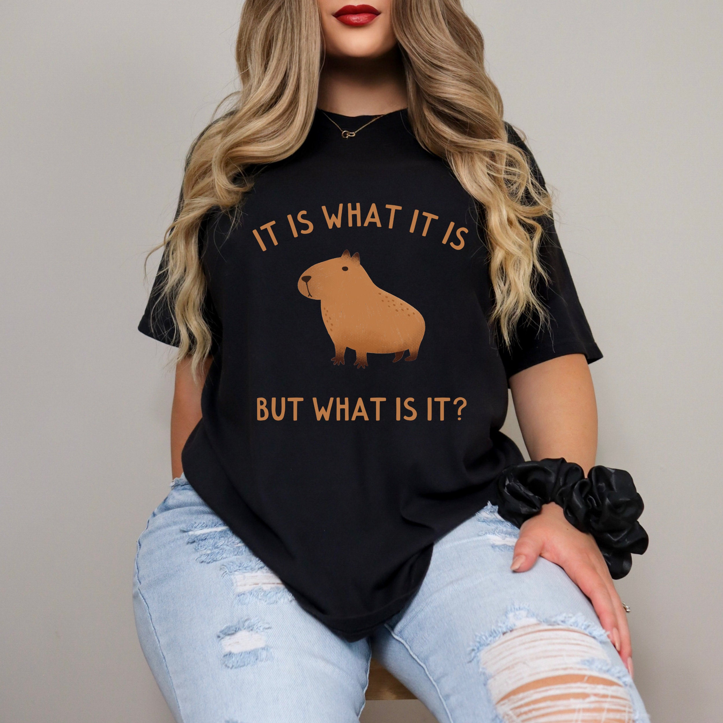 It is What It is Capybara Shirt Mental Health Sarcastic Gen Z Meme ...
