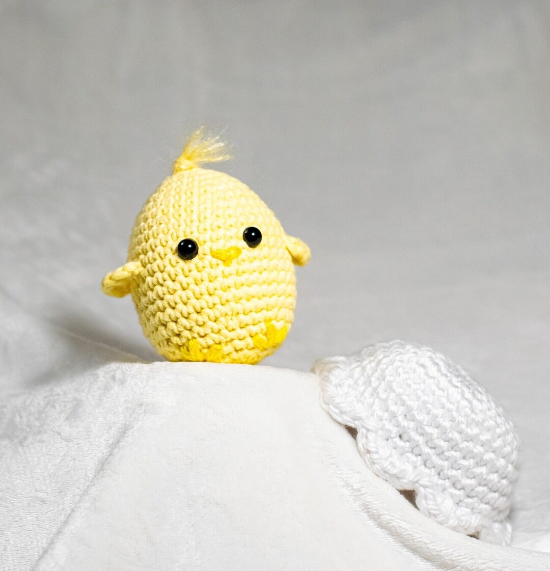 Chick With Eggshell - Etsy