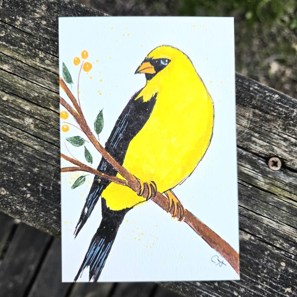 Hand Painted Bird Art - Etsy