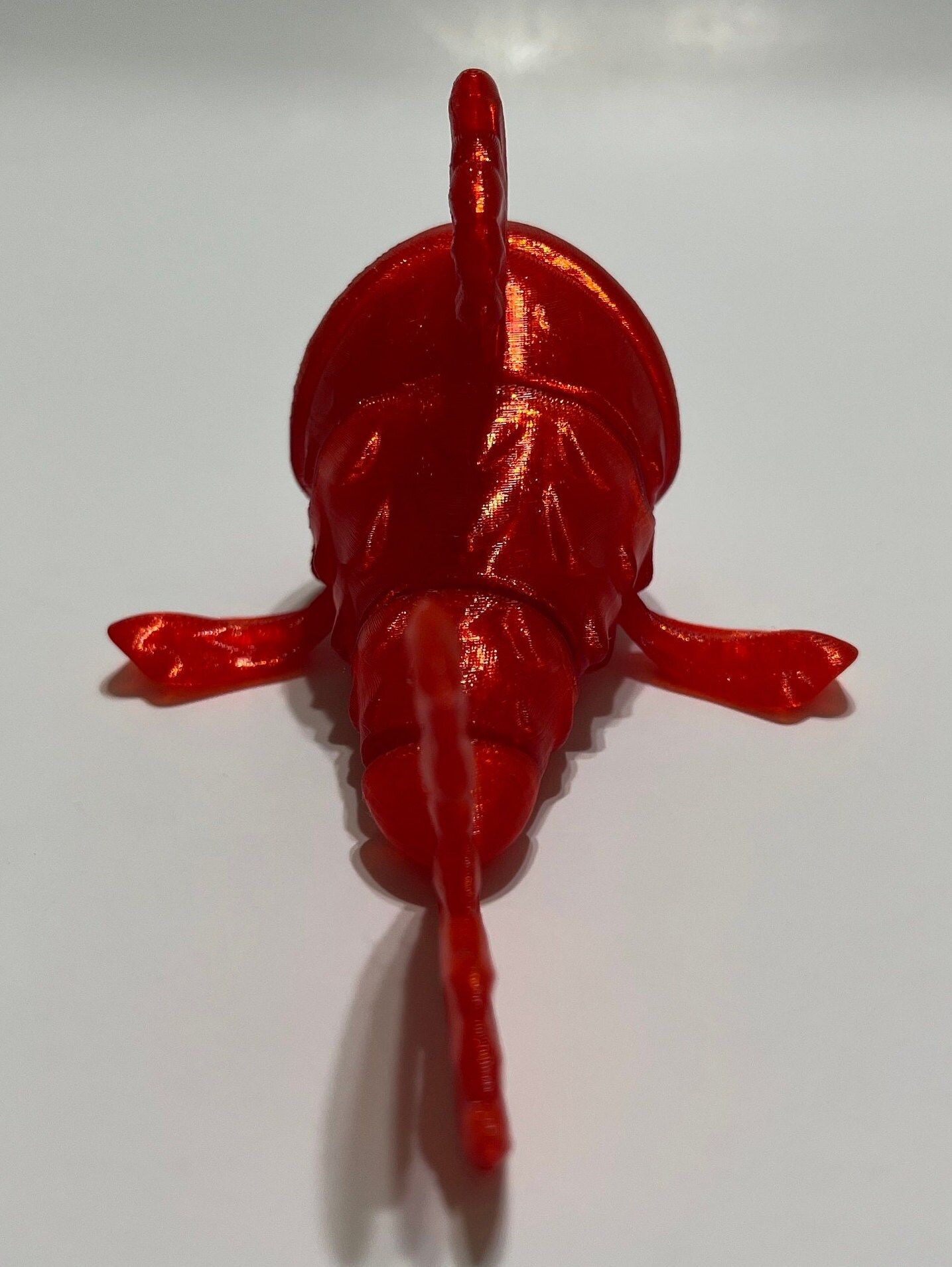 Flexi Cute Fish Articulated & Movable - Etsy