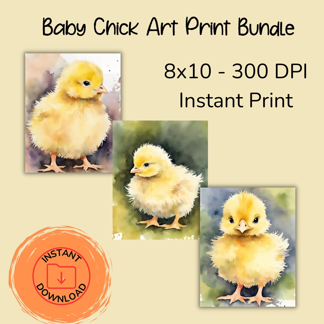Baby Chick Watercolor Digital Print Bundle, Three Digital Watercolor ...