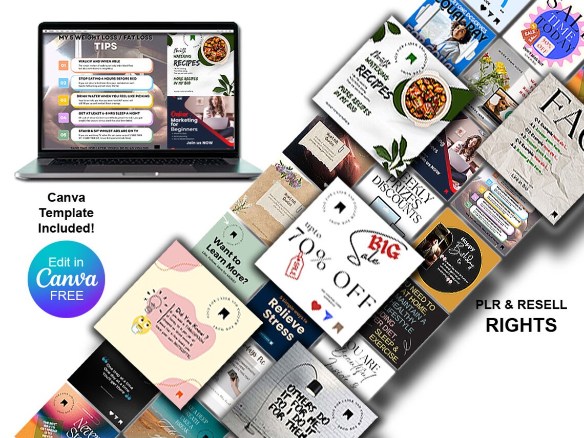 50 Instagram Post Template, PLR & Resell License, Canva Template ...