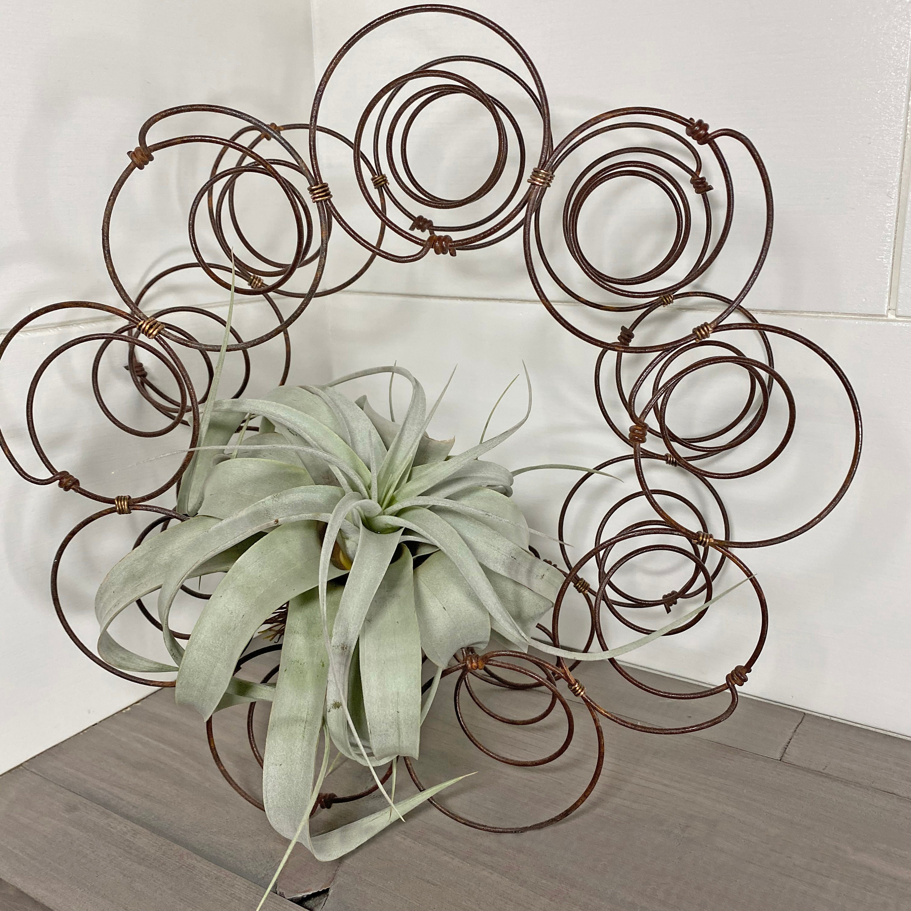 Antique Bedspring Wreath 12.25" | Airplant or Succulent Display ...