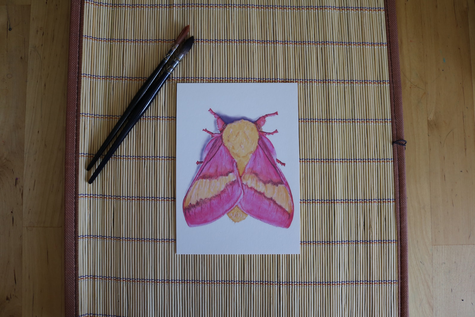 Watercolor Rosy Maple Moth Art Print - Etsy