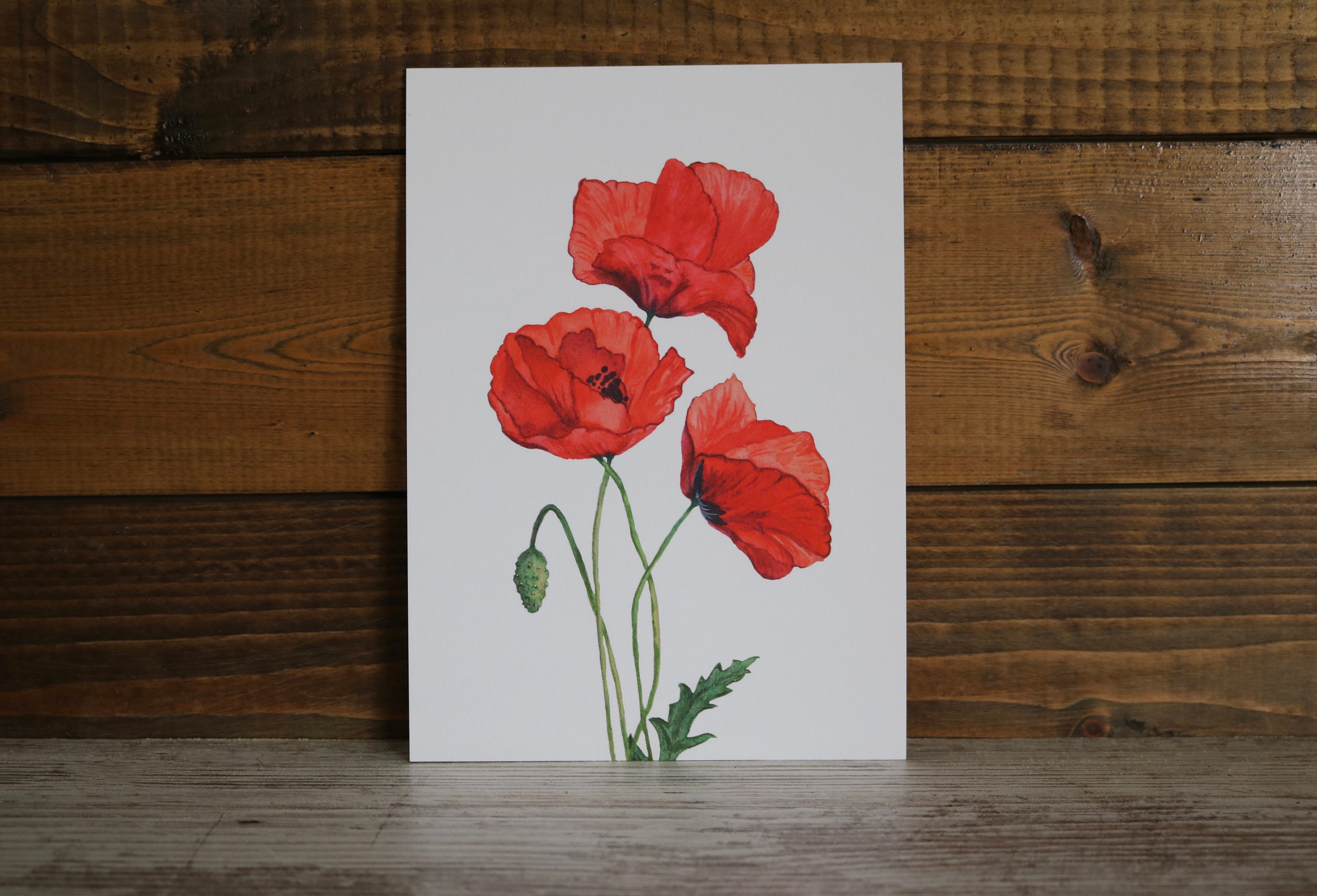 Watercolor "top O' the Pops" Red Poppy Art Print - Etsy