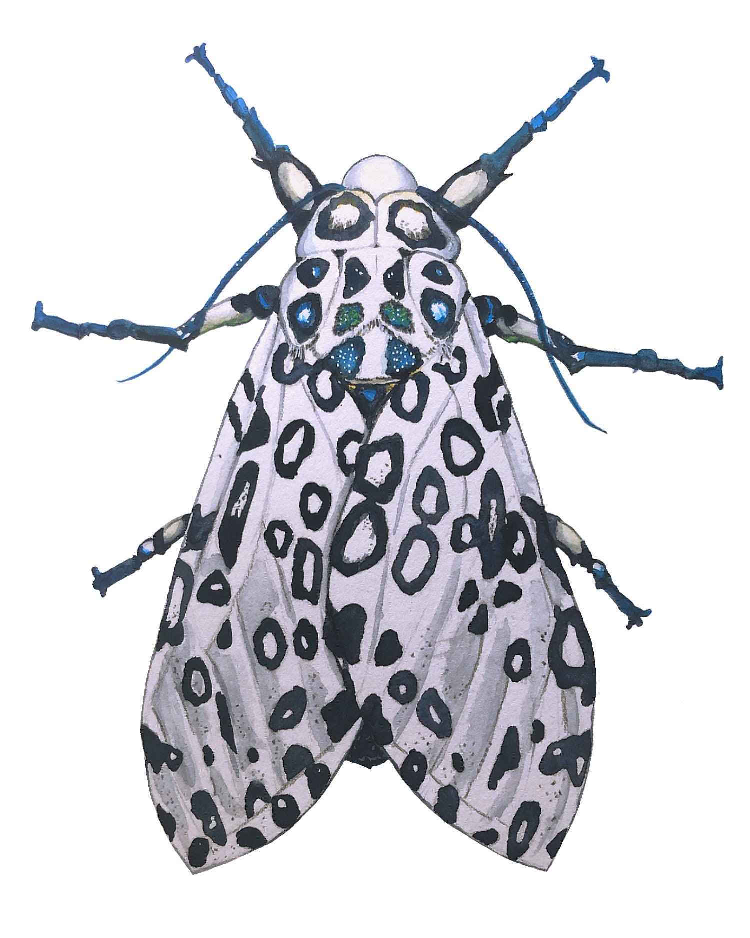 Watercolor Giant Leopard Moth Art Print - Etsy
