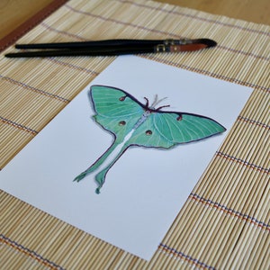 Watercolor Luna Moth Art Print - Etsy