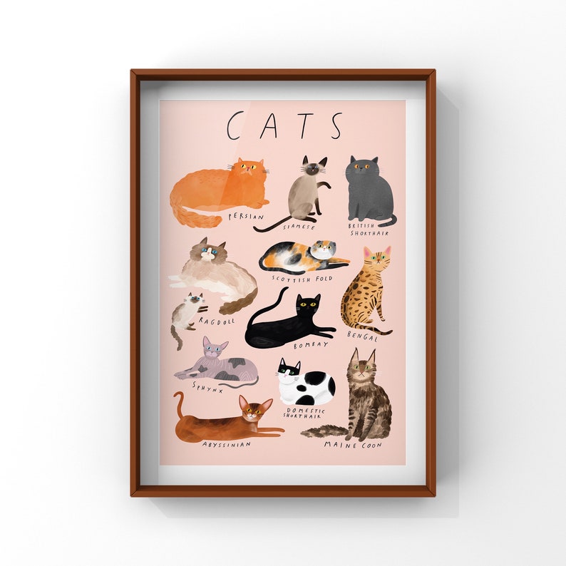 Cat Breeds Print, Cat Lovers, Kitten Pet Gift, Illustrated Poster A3 - Etsy
