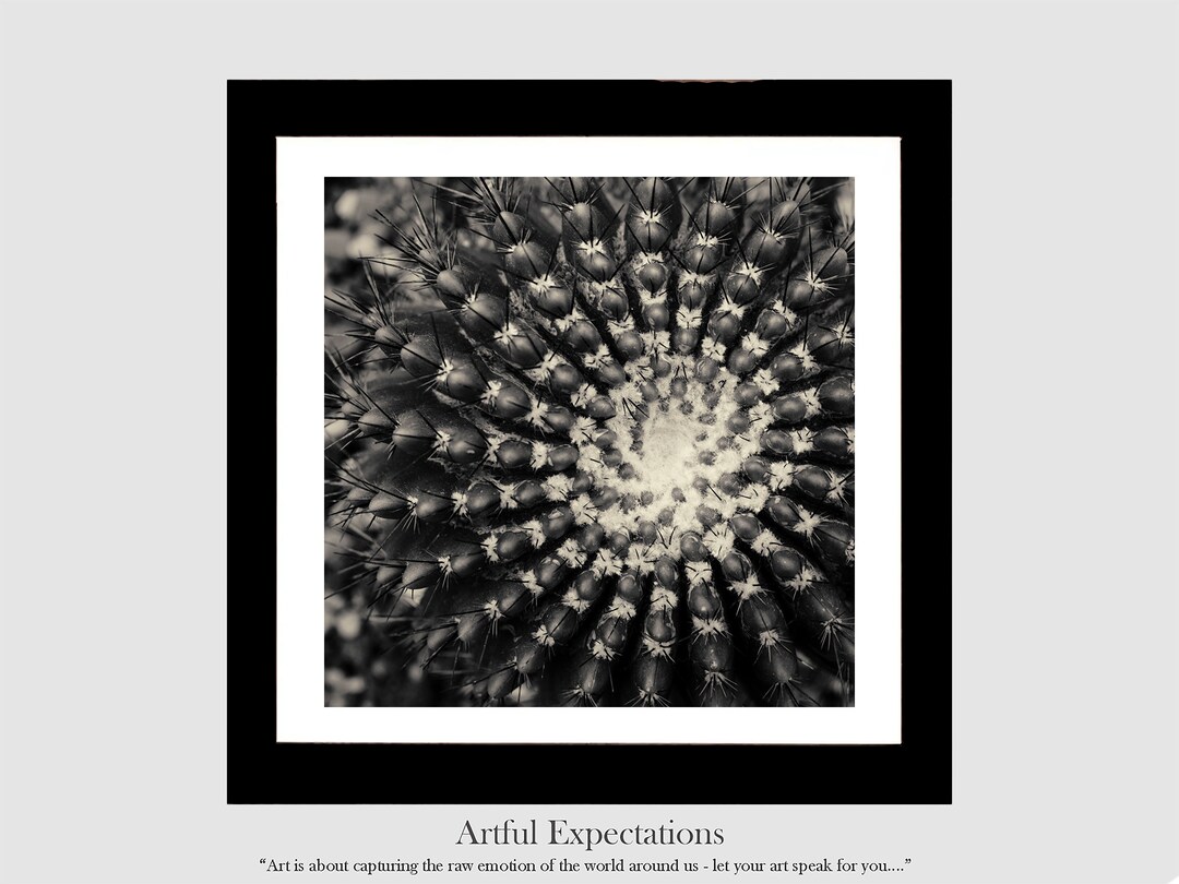 Botantical Art Print DIY Home Décor Home Decorating Art Print Yourself ...