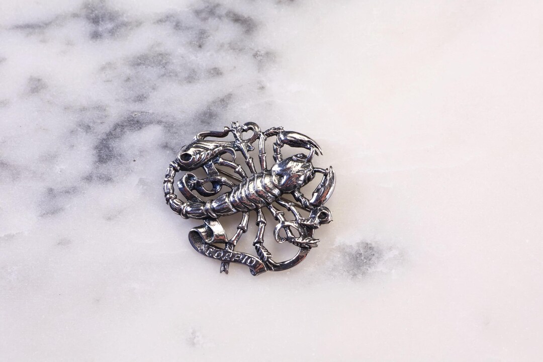 Small Cini Scorpion Zodiac Pin Vintage Sterling Scorpion - Etsy