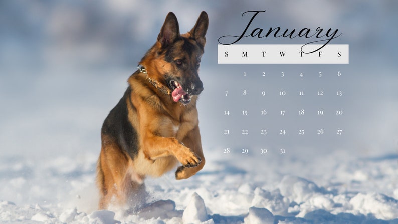 Dog-themed Desktop Wallpaper Series for 2024 - Etsy