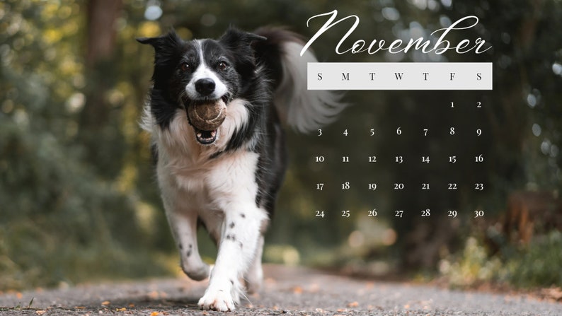 Dog-themed Desktop Wallpaper Series for 2024 - Etsy