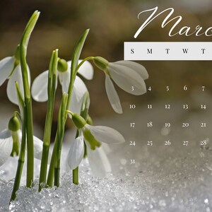 2024 Nature Desktop Windows Wallpaper - Etsy