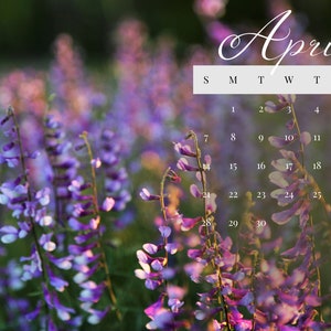 2024 Nature Desktop Windows Wallpaper - Etsy