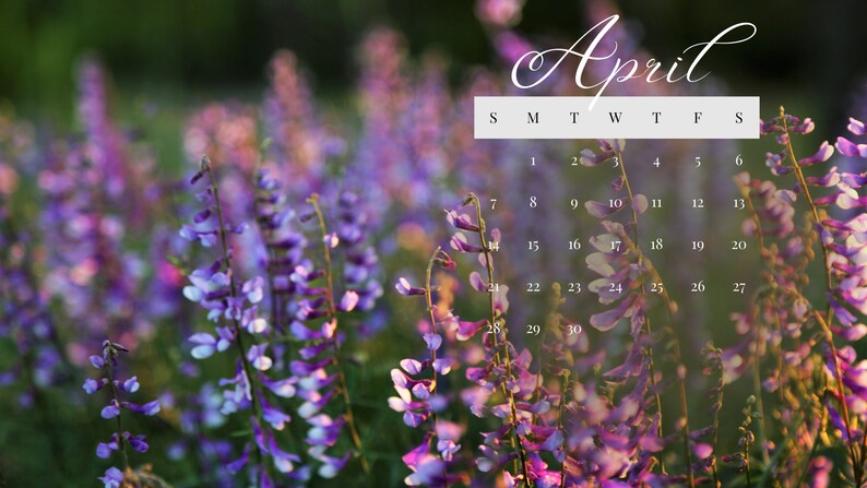 2024 Nature Desktop Windows Wallpaper - Etsy