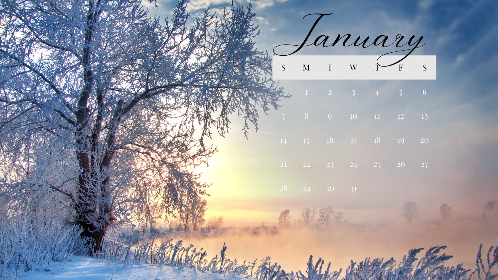 2024 Nature Desktop Windows Wallpaper - Etsy