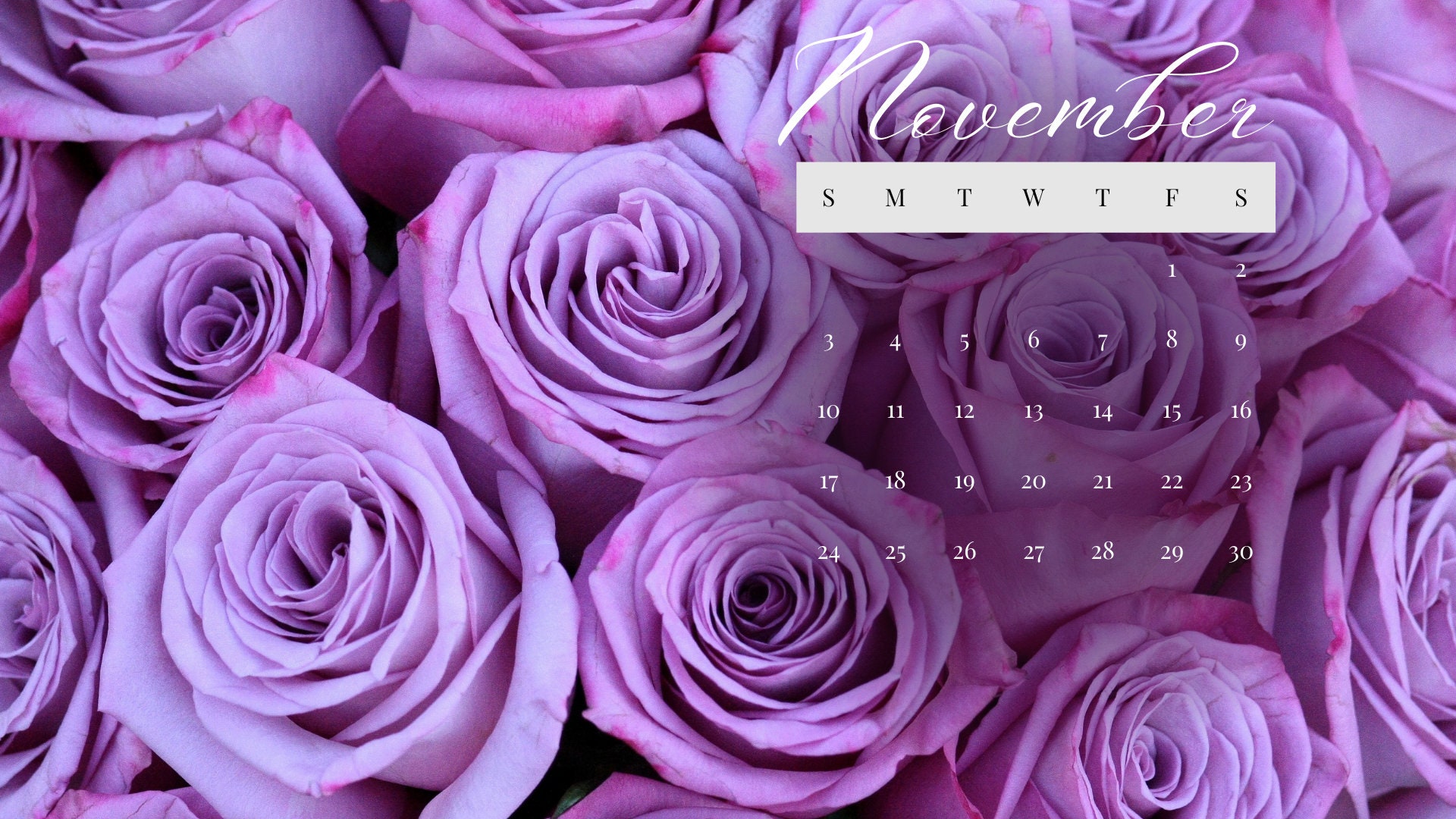 2024 Rose Themed Desktop Wallpaper - Etsy