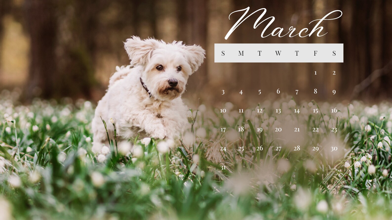 Dog-themed Desktop Wallpaper Series for 2024 - Etsy