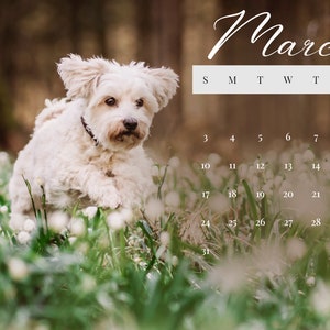 Dog-themed Desktop Wallpaper Series for 2024 - Etsy