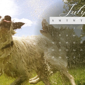 Dog-themed Desktop Wallpaper Series for 2024 - Etsy