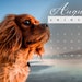 Dog-themed Desktop Wallpaper Series for 2024 - Etsy