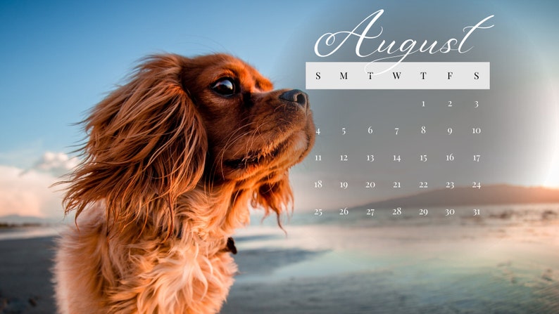 Dog-themed Desktop Wallpaper Series for 2024 - Etsy