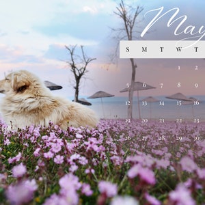 Dog-themed Desktop Wallpaper Series for 2024 - Etsy