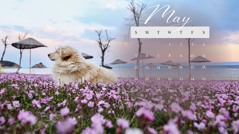 Dog-themed Desktop Wallpaper Series for 2024 - Etsy