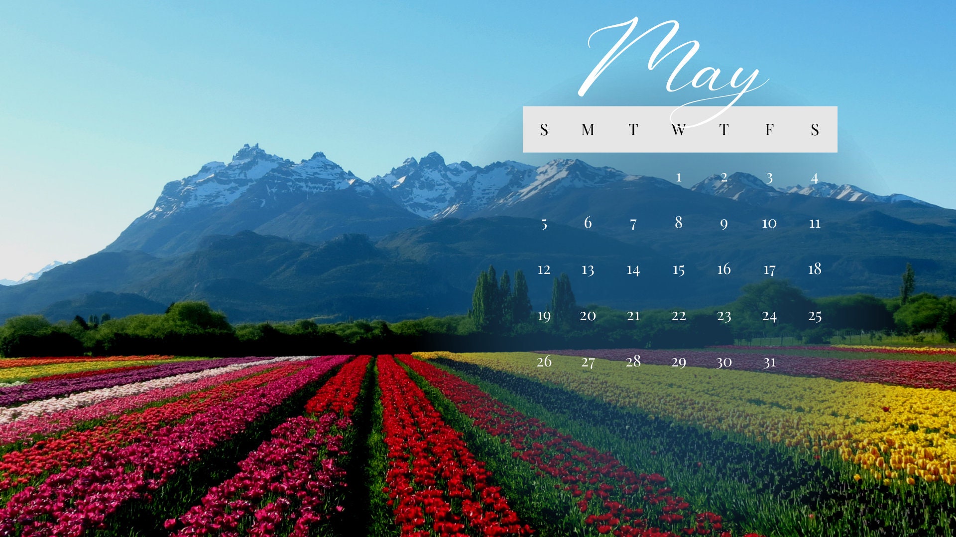 2024 Nature Desktop Windows Wallpaper - Etsy