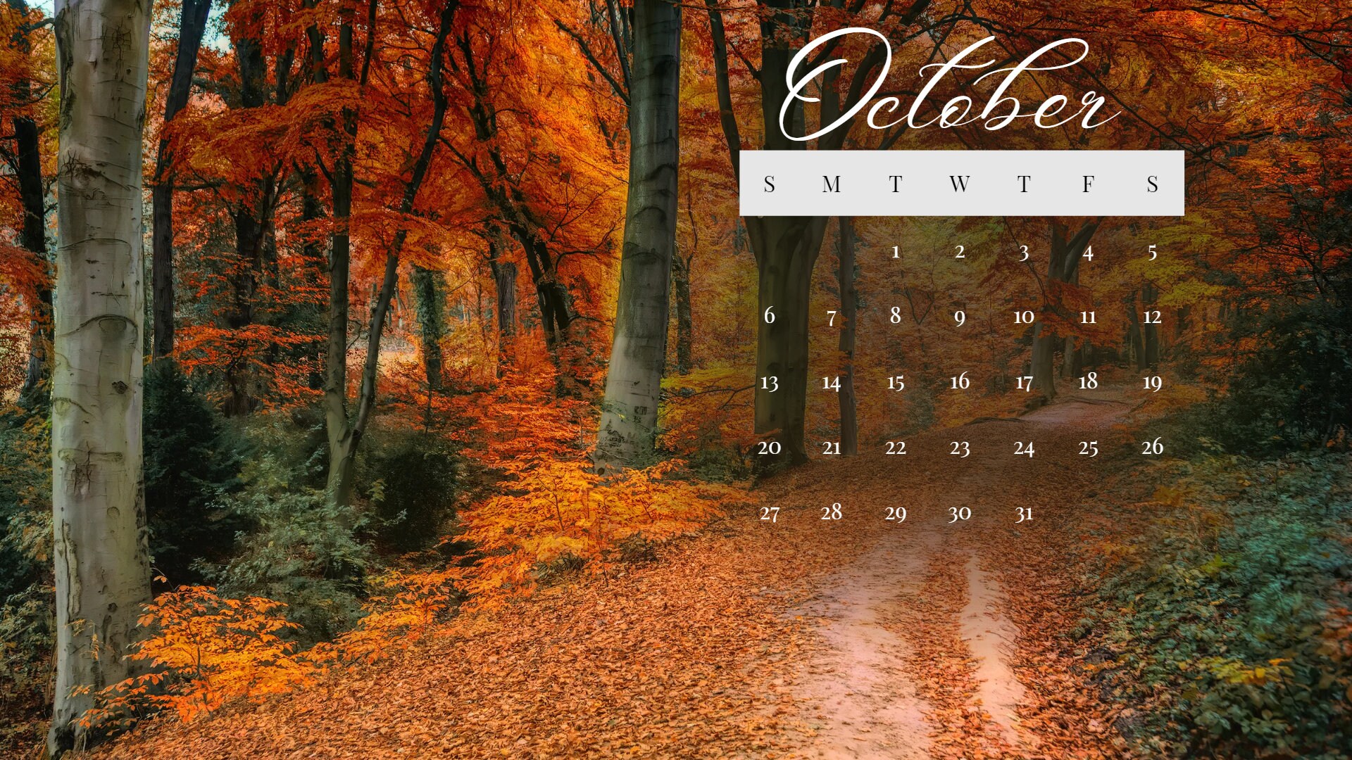 2024 Nature Desktop Windows Wallpaper - Etsy