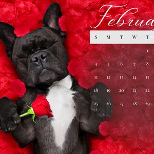 Dog-themed Desktop Wallpaper Series for 2024 - Etsy