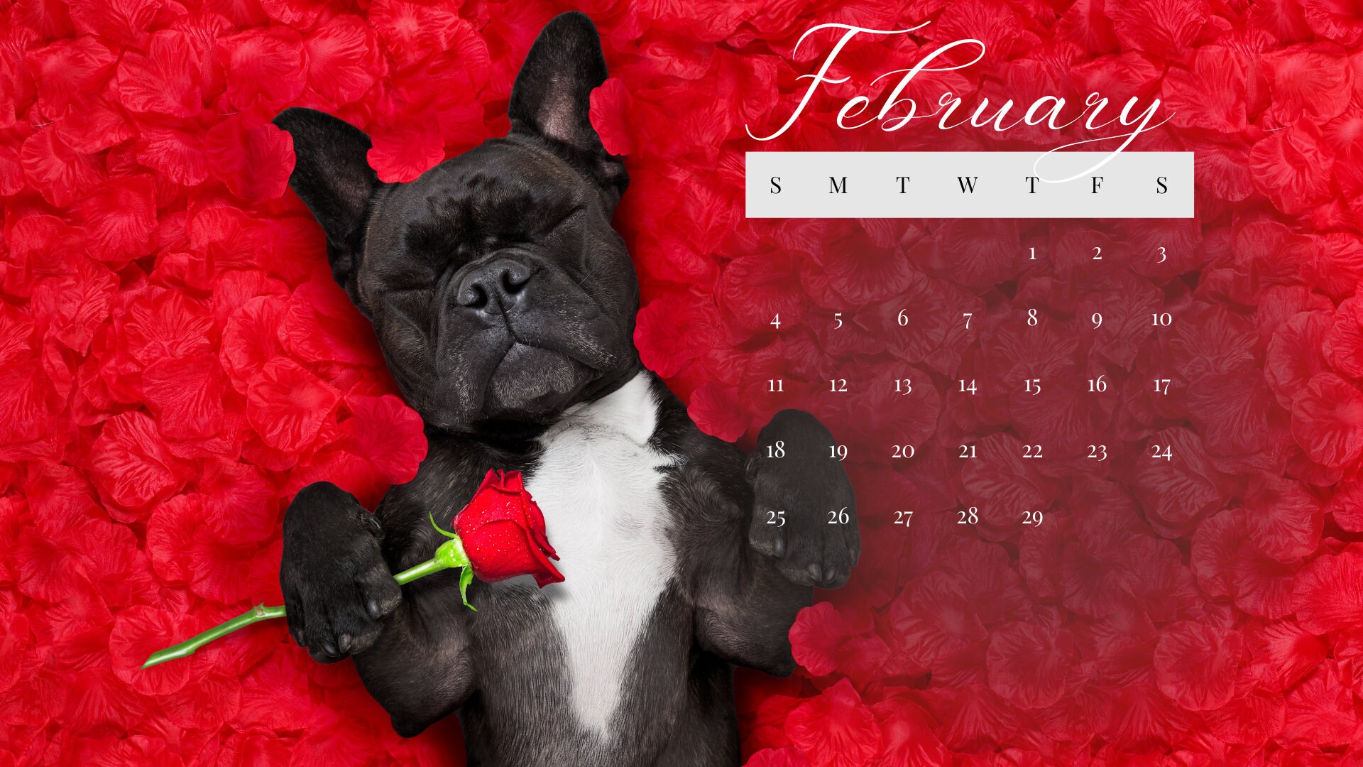 Dog-themed Desktop Wallpaper Series for 2024 - Etsy