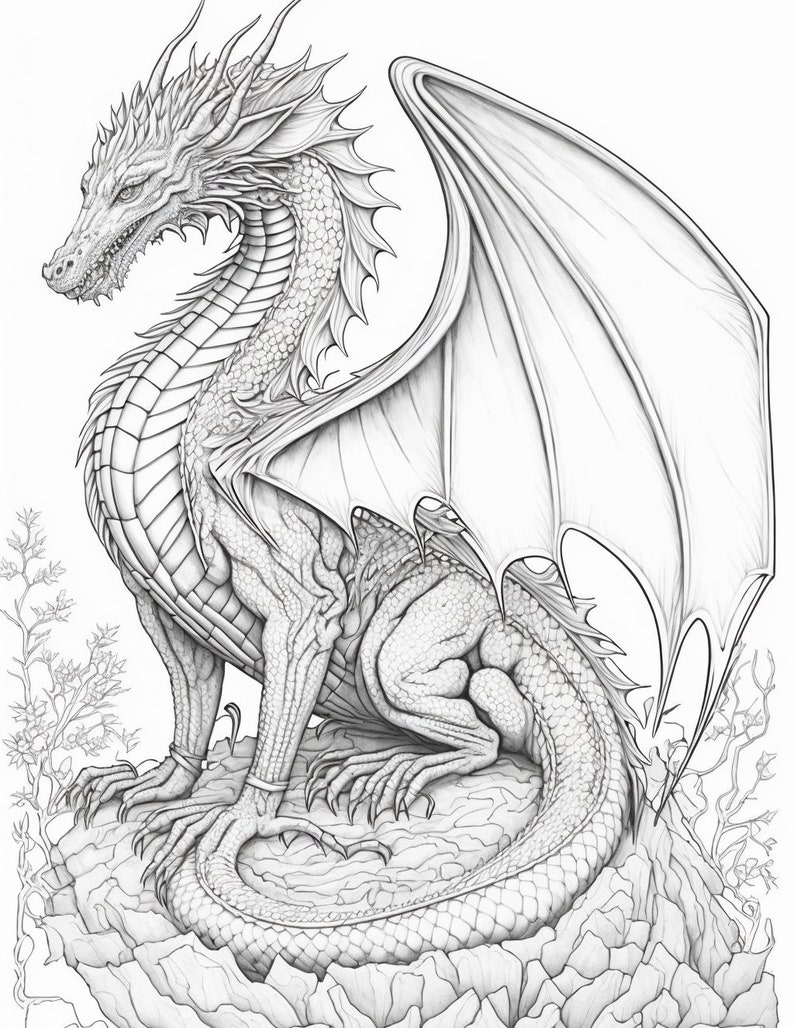 Relaxing Coloring Pages: Dragons 100 Pages - Etsy