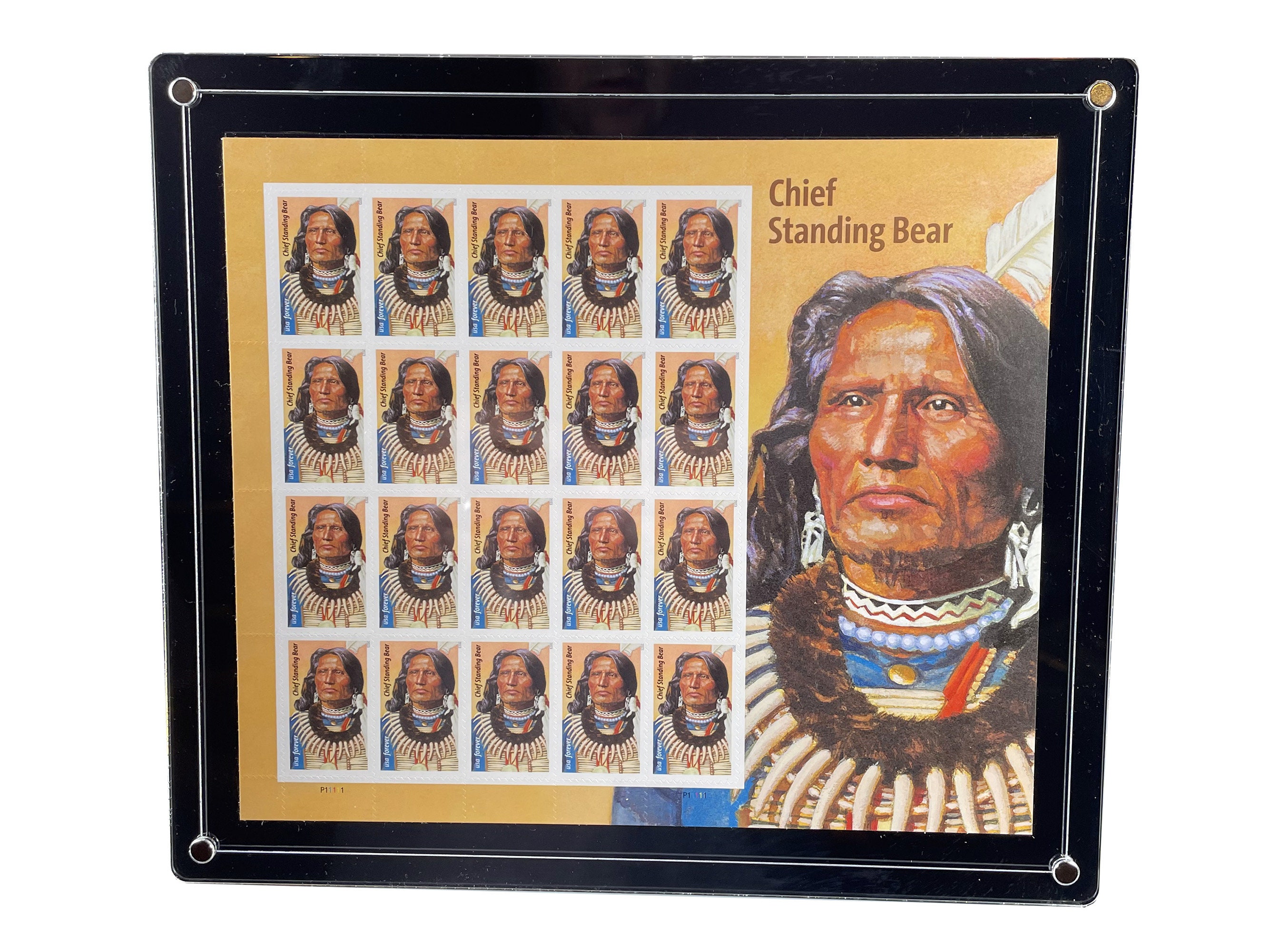 Display Frame for USPS Chief Standing Bear Stamp Sheet - Etsy
