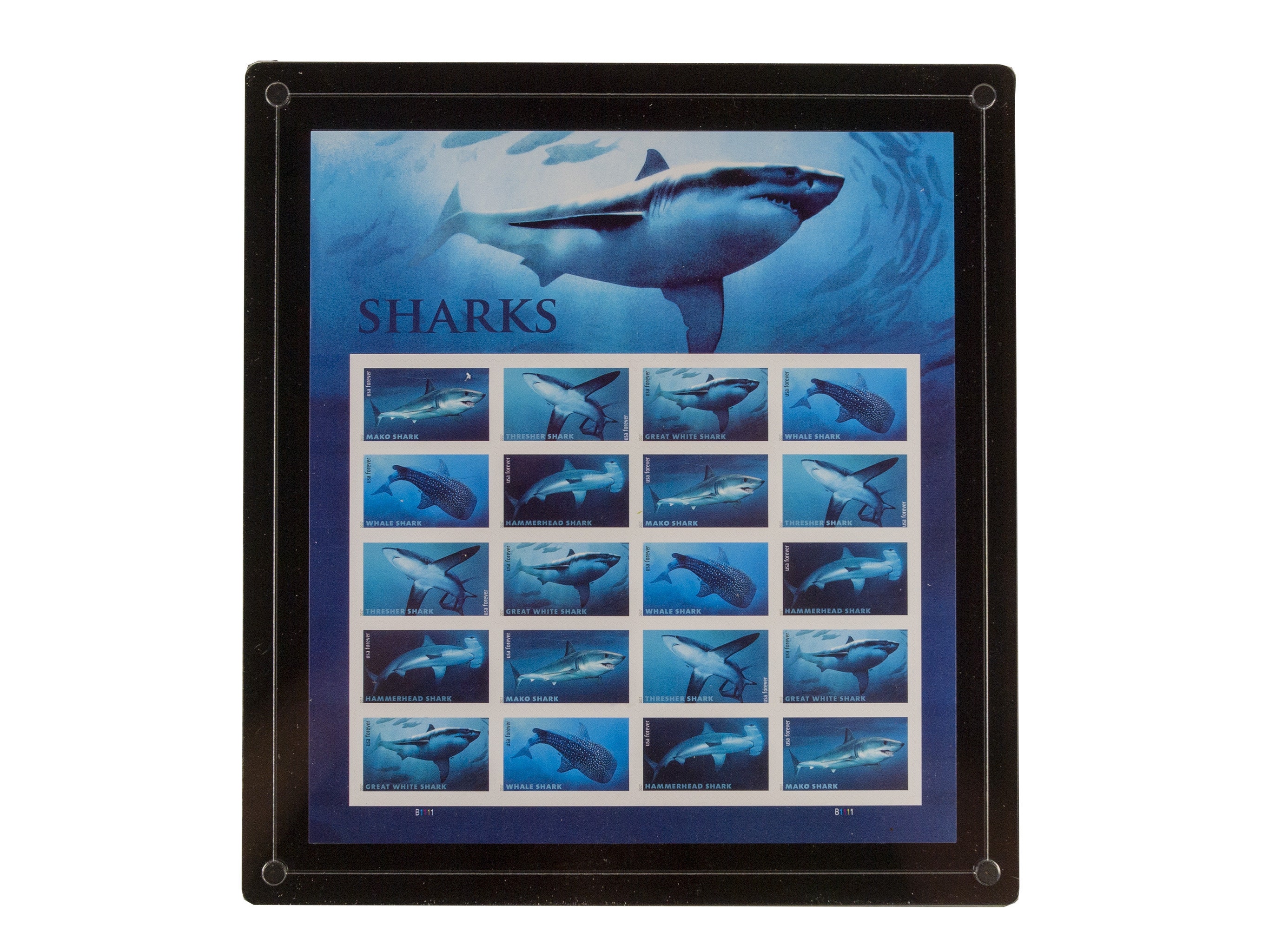 Display Frame for Sharks Postage Stamp Sheet - Etsy