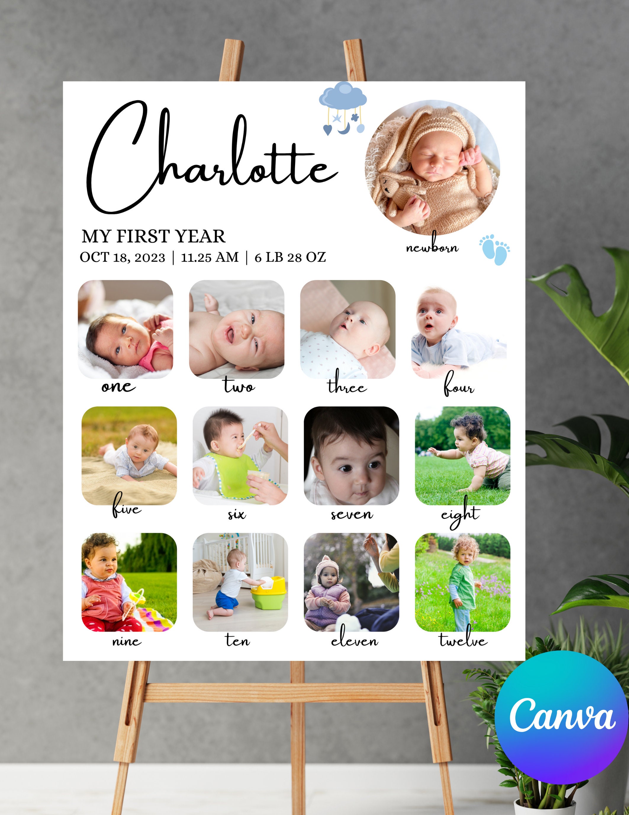 Editable Milestone Board Birthday Sign With Photo Printable Baby's ...