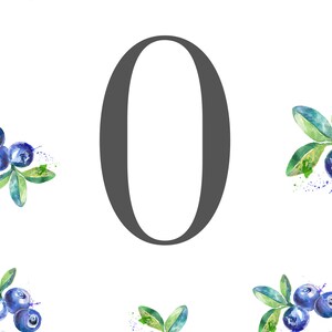 Blueberry Alphabet Banner Letters A to Z Numbers Blueberry Birthday ...
