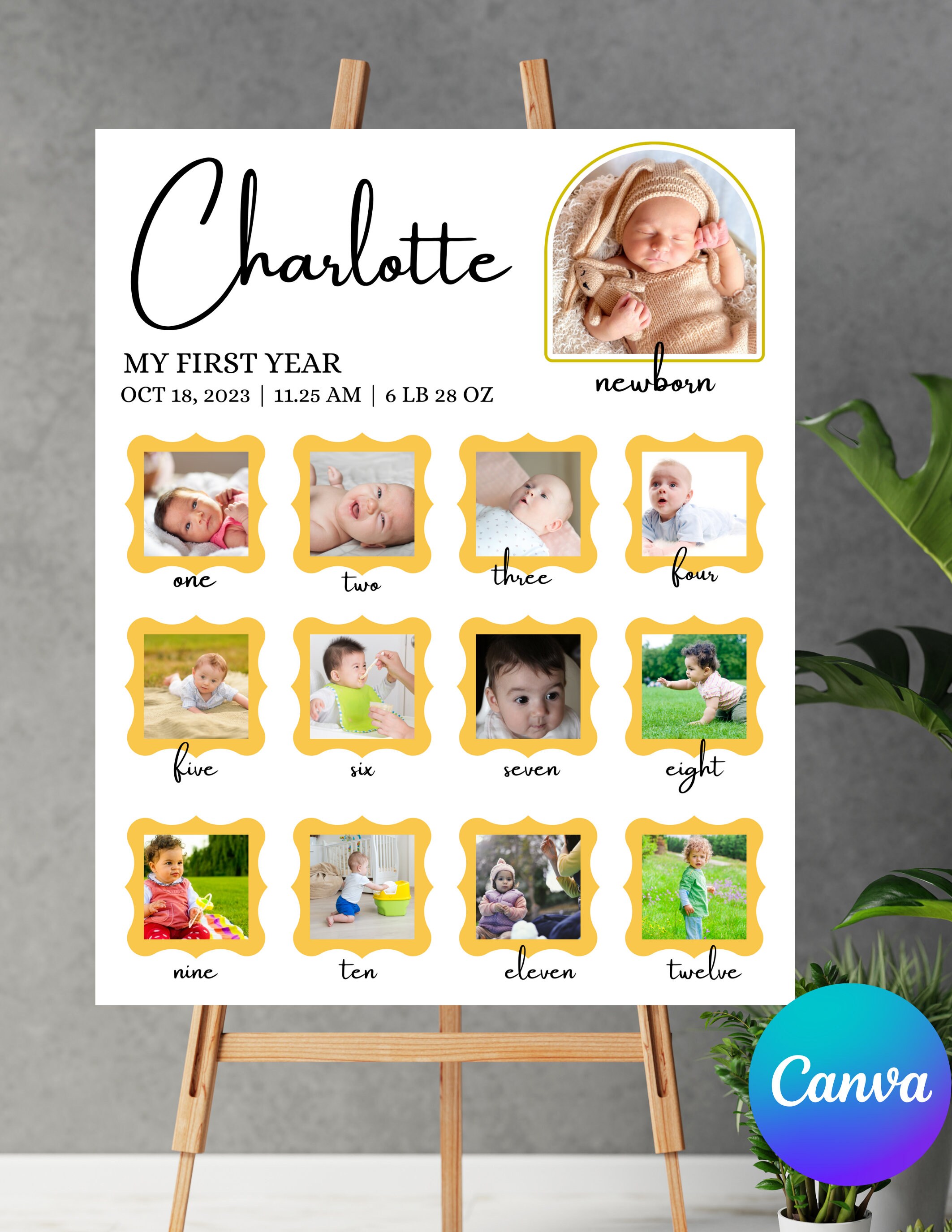 Editable Milestone Board Birthday Sign With Photo Printable Baby's ...