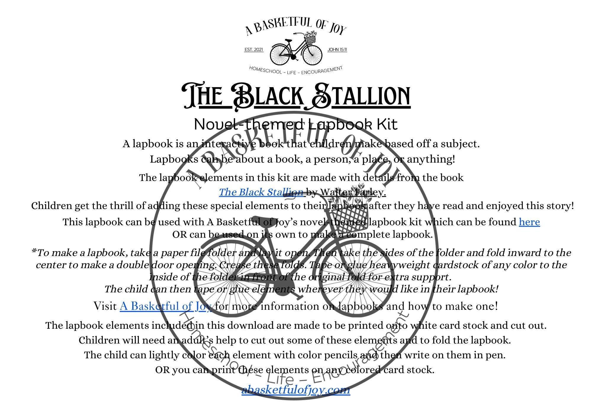 The Black Stallion Novel-lapbook Kit - Etsy