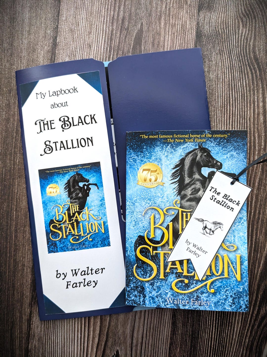 The Black Stallion Novel-lapbook Kit - Etsy