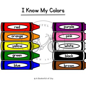 Color Match (colored) - Preschool Binder Activity - Etsy
